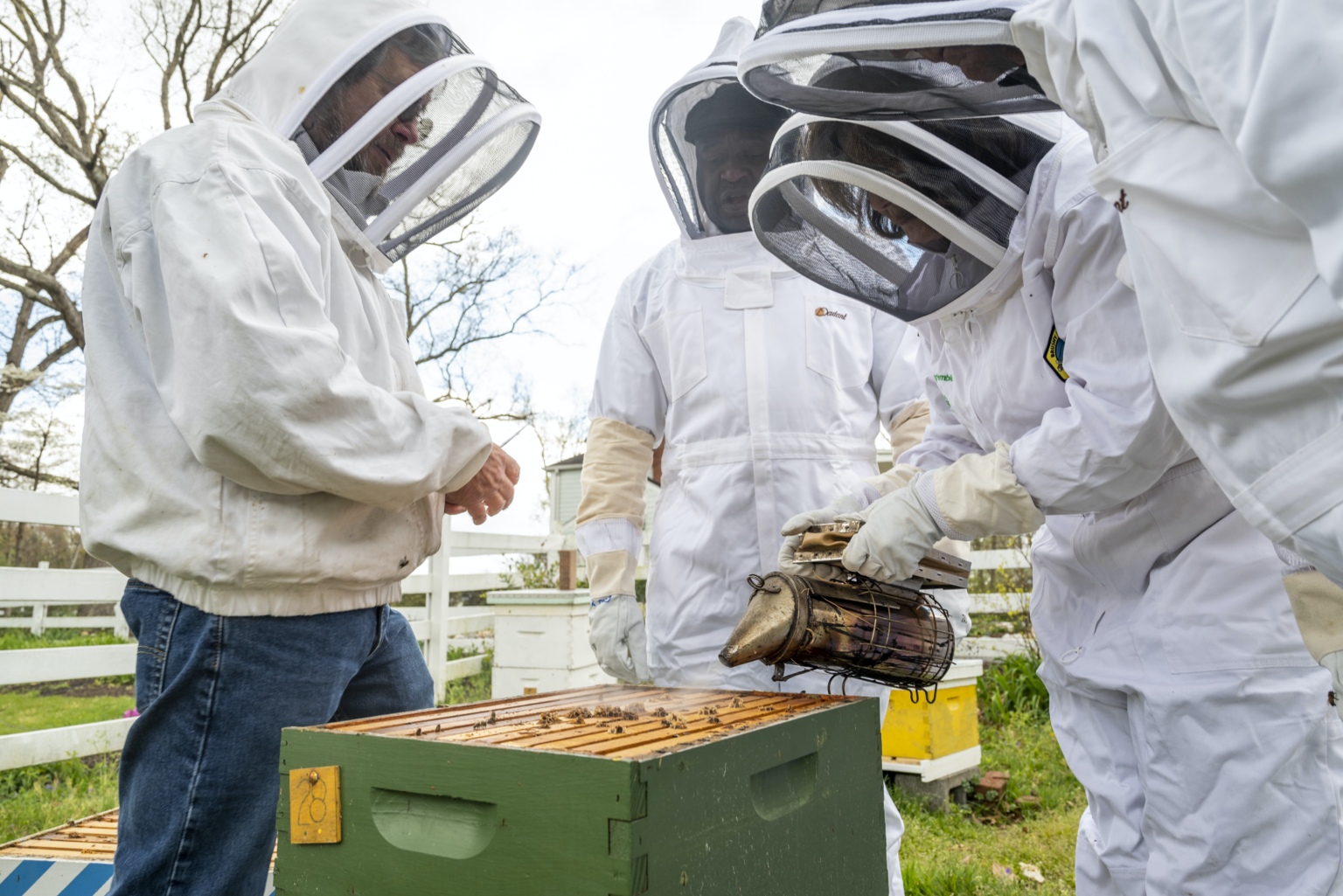 Mason as a Living Lab – Institute for a Sustainable Earth