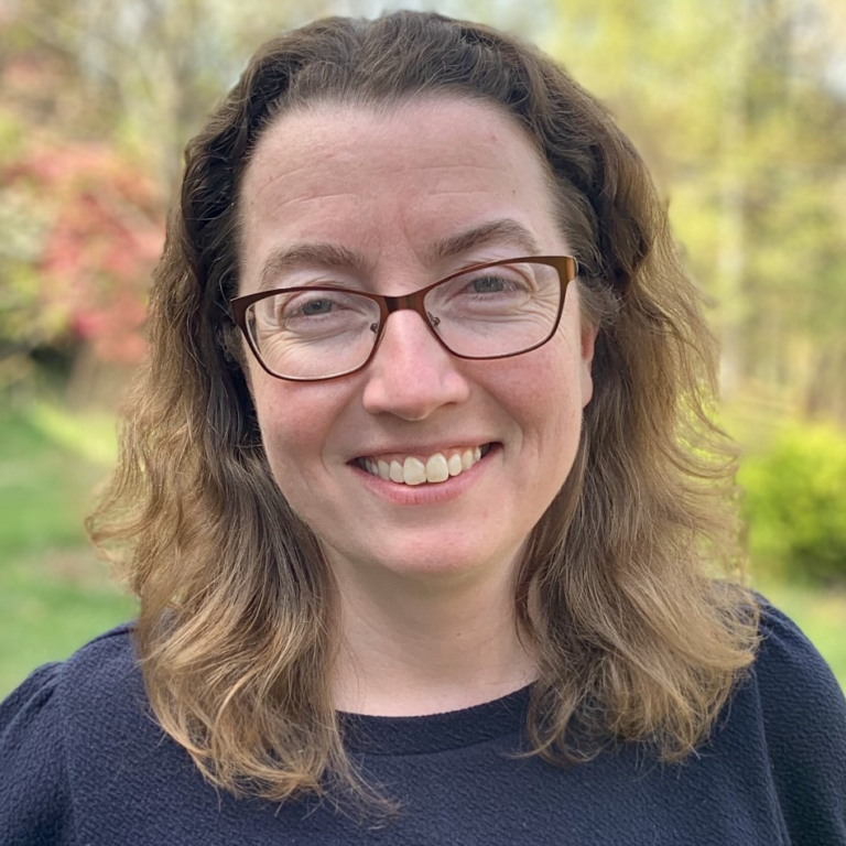 NSF Accelerating Research Translation – Institute for a Sustainable Earth